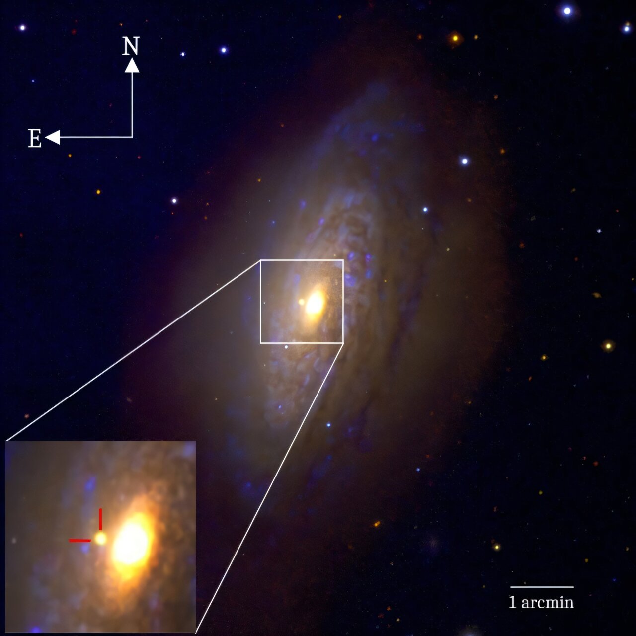 Observations of recently detected SN 2024aecx suggest it's a Type IIb ...