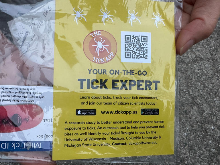 ‘Tick Tuesday’: Tips and tricks for avoiding ticks