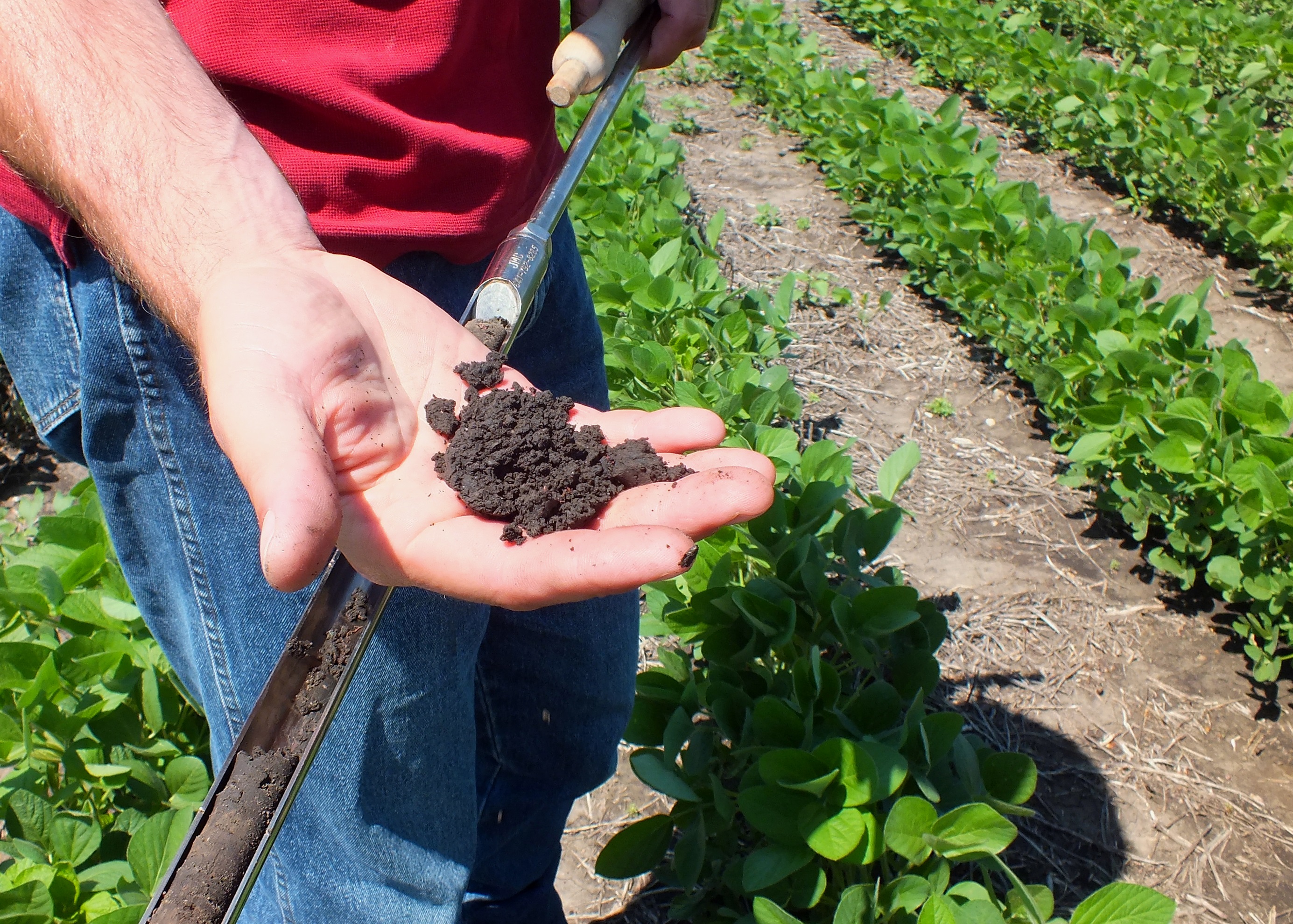 The Science of Sustainable Agriculture and Soil Health