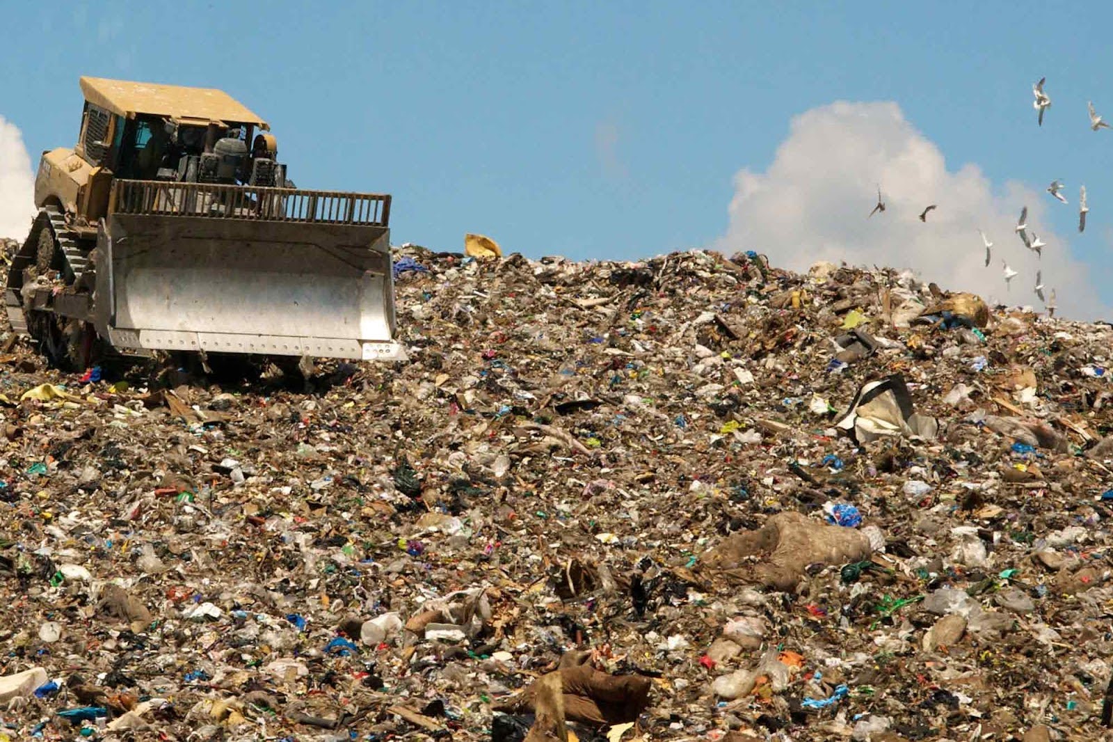 Colorado’s Landfills Generate as Much Dirty Air as 1 Million Cars in a Year