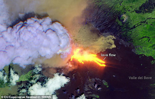Incredible satellite images reveal Mount Etna's eruption from SPACE