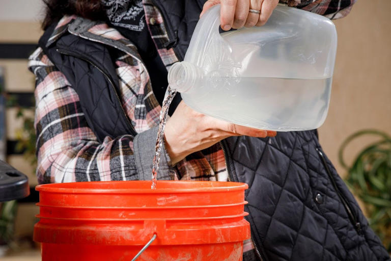 Refresh Your Plants With This Easy DIY Compost Tea