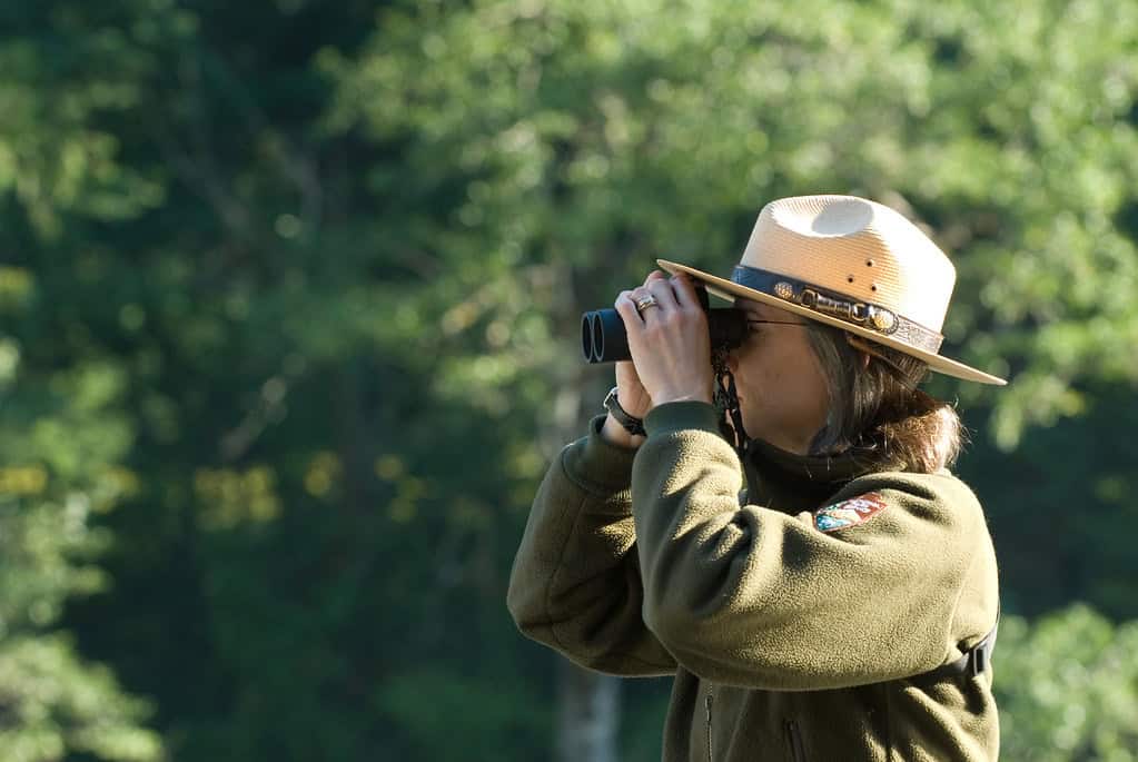 Tim Walz tells liberals to ‘bully’ Trump with brutal new nickname