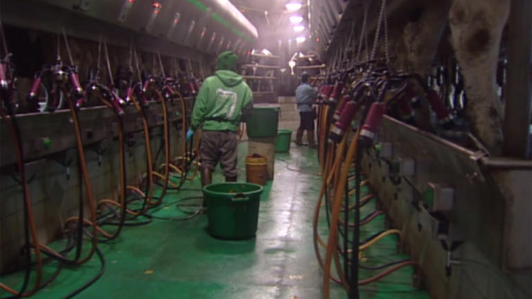 Trump promises immigration order to shield farm, leisure workers