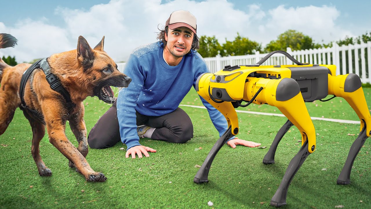 I Tested AI Dogs vs Real Dogs