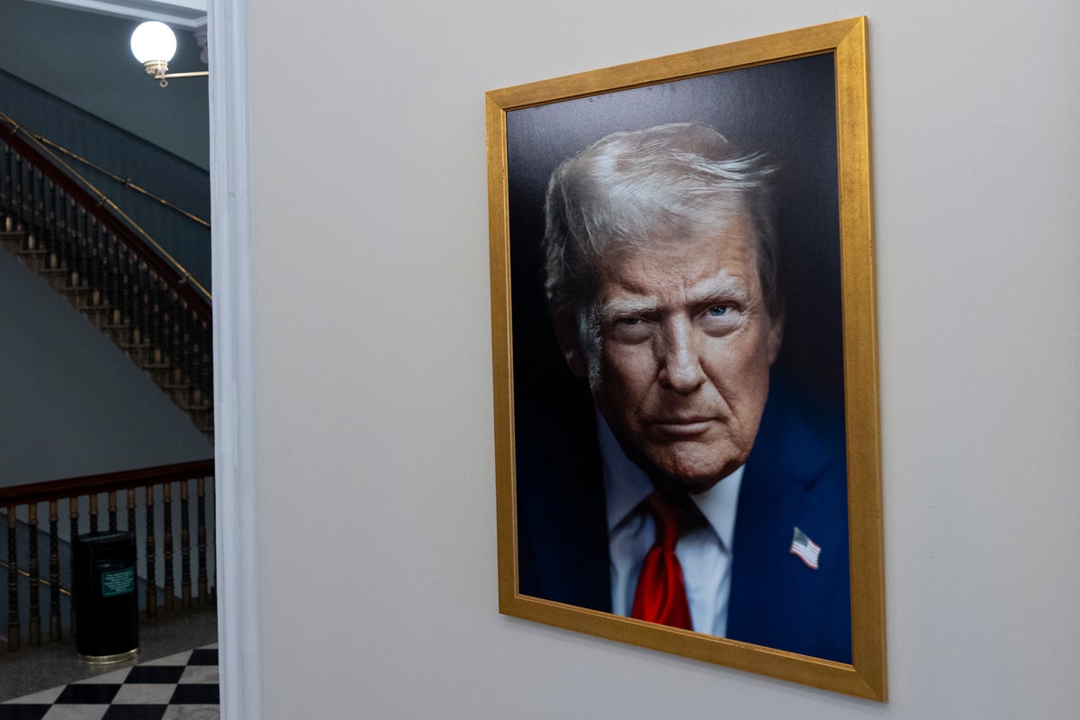 White House shows off a stern-looking Trump portrait with a knock-off ...