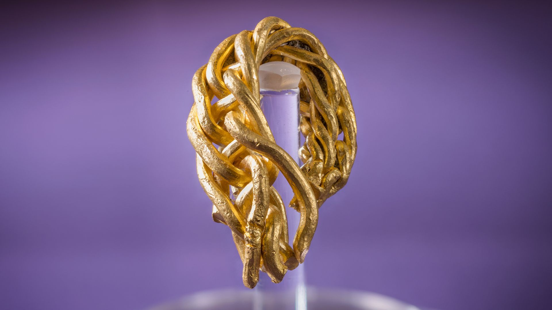 Braided gold Viking arm-ring discovered by amateur metal detectorist on ...