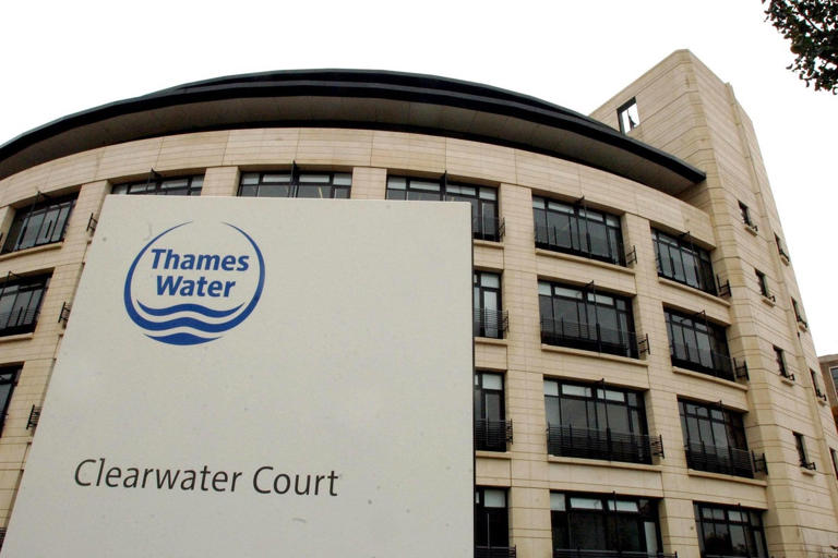 Public ownership ‘not the answer’ says Reed after Thames Water deal ...