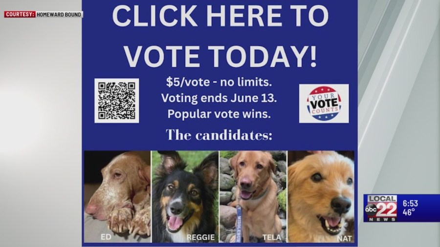 Dog Mayor update, Walk for Animals Saturday, and more!