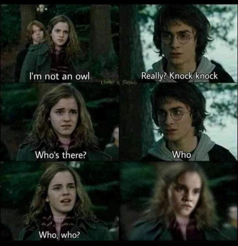 28 Harry Potter Memes That’ll Have You Laughing Louder Than A Howler ...