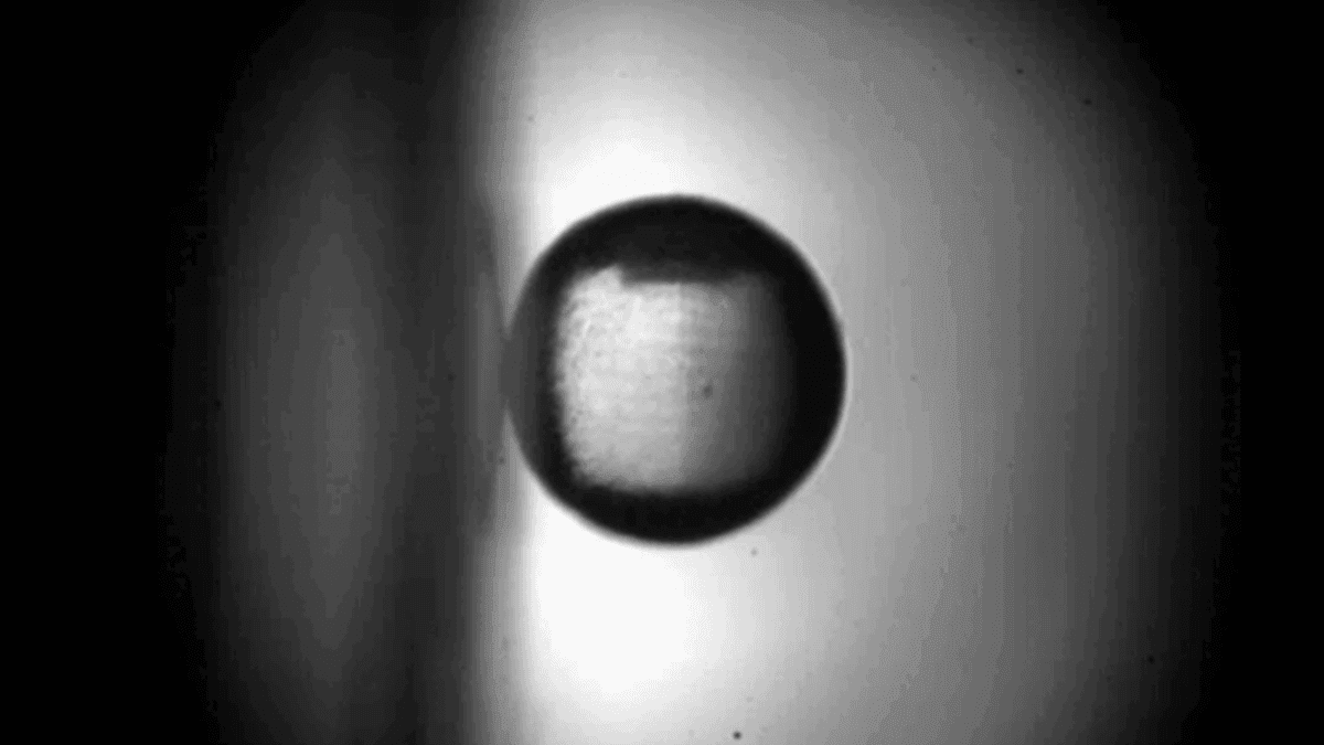 Video Shows Physicists Achieve "Impossible" Feat Of Rolling A Ball ...
