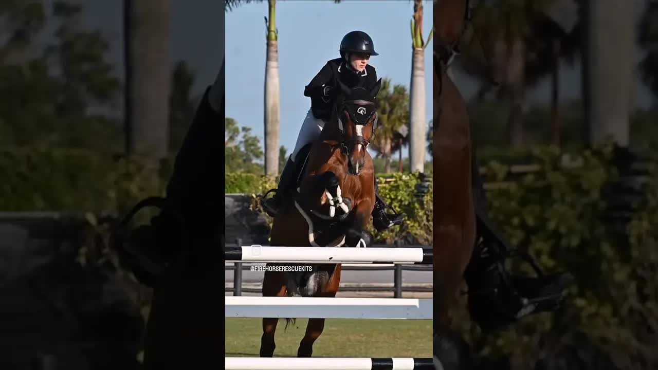 streamhorse: esp spring horse show jumping in wellington florida