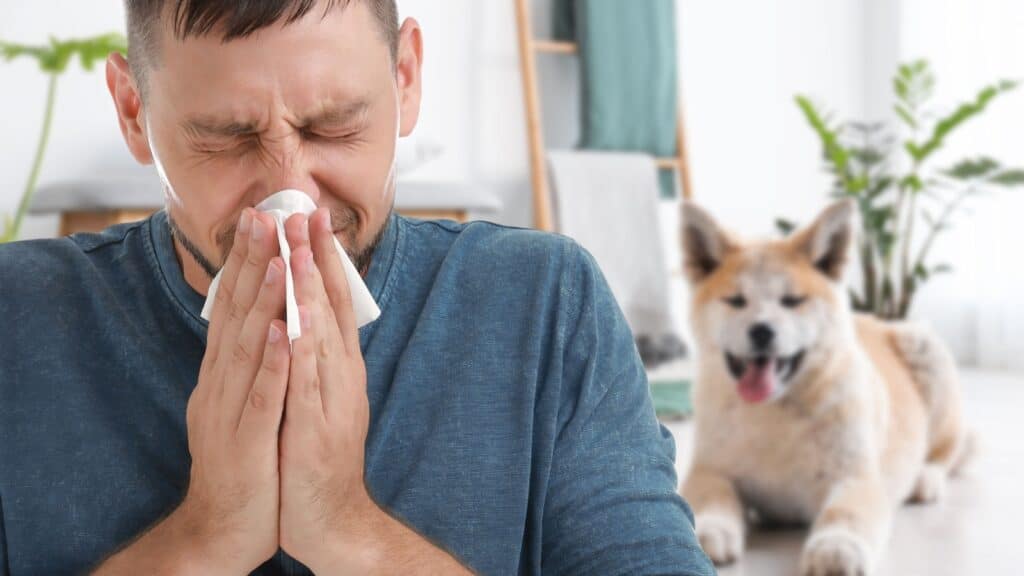 10 Signs Your House Might Be Making You Sick