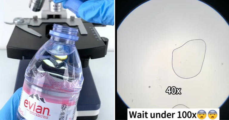 Scientist Checks Evian Purified Drinking Water Under a Microscope — the ...