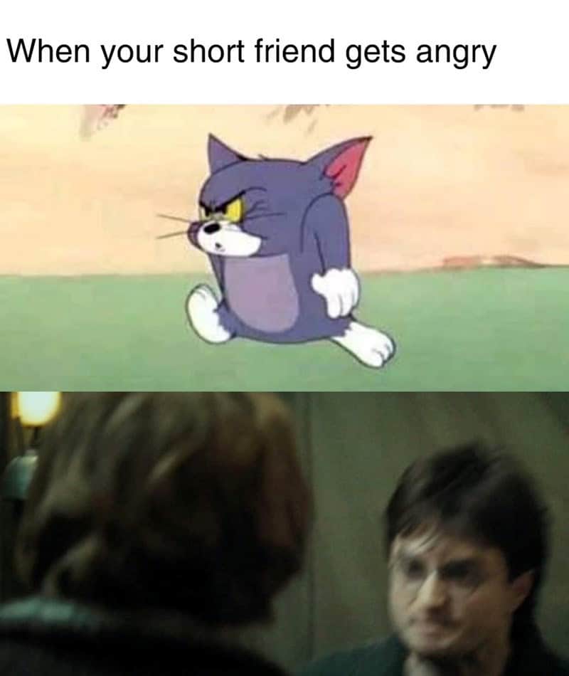 28 Harry Potter Memes That’ll Have You Laughing Louder Than A Howler ...