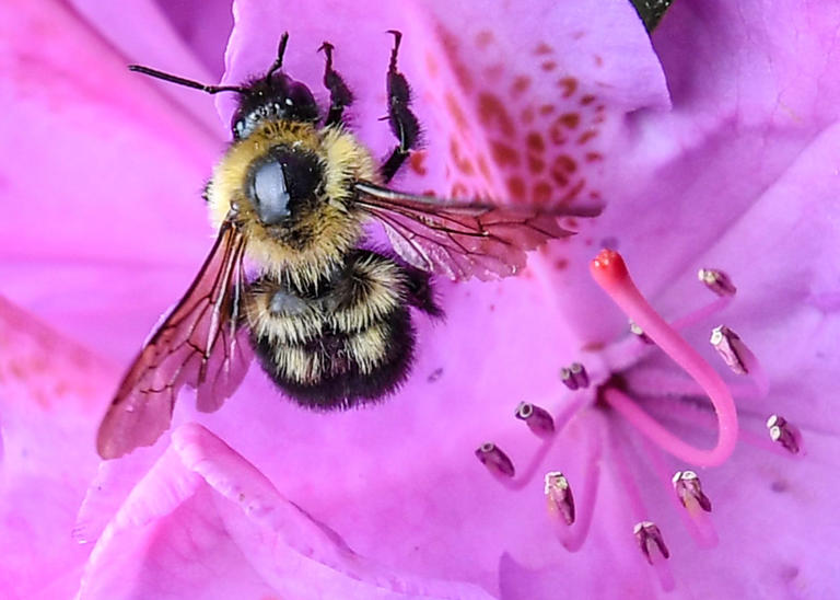 These Upstate small towns are most scenic for nature lovers: Where to ...