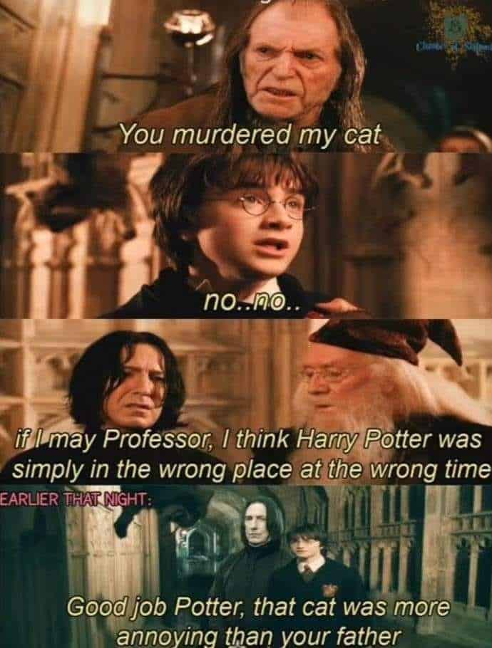 28 Harry Potter Memes That’ll Have You Laughing Louder Than A Howler ...