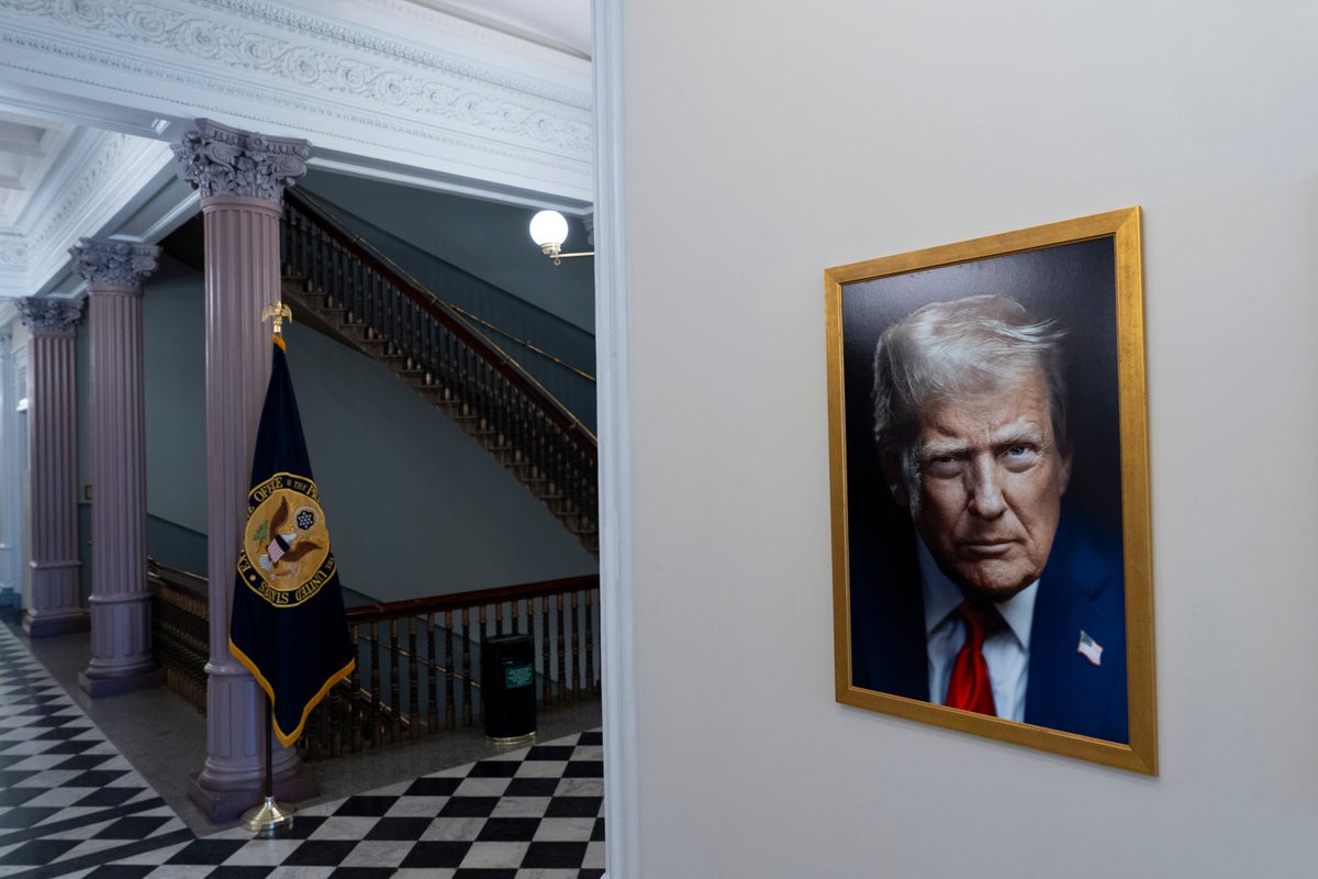 White House shows off a stern-looking Trump portrait with a knock-off ...