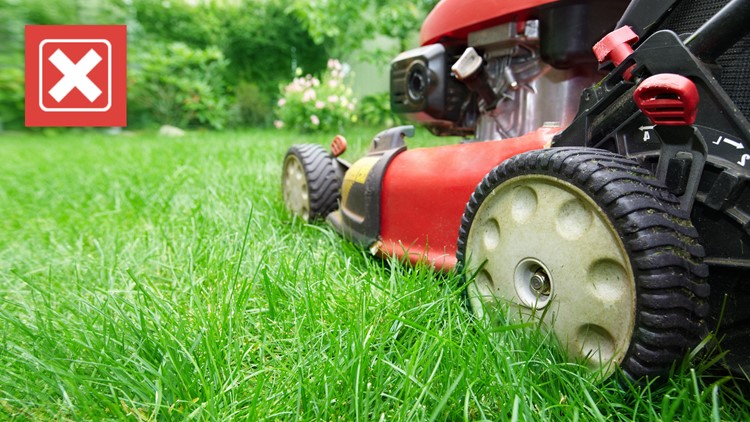 Sheriff warns: Grass clippings pose danger to motorcyclists on roads
