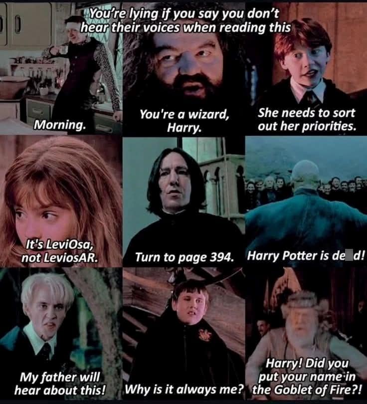 28 Harry Potter Memes That’ll Have You Laughing Louder Than A Howler ...