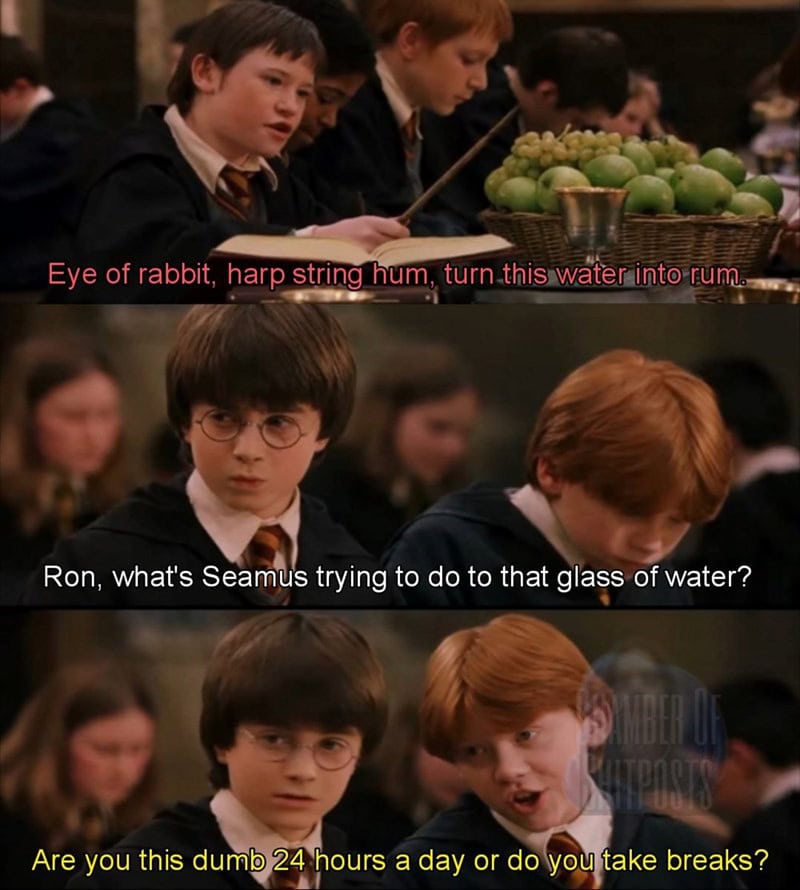 28 Harry Potter Memes That’ll Have You Laughing Louder Than A Howler ...