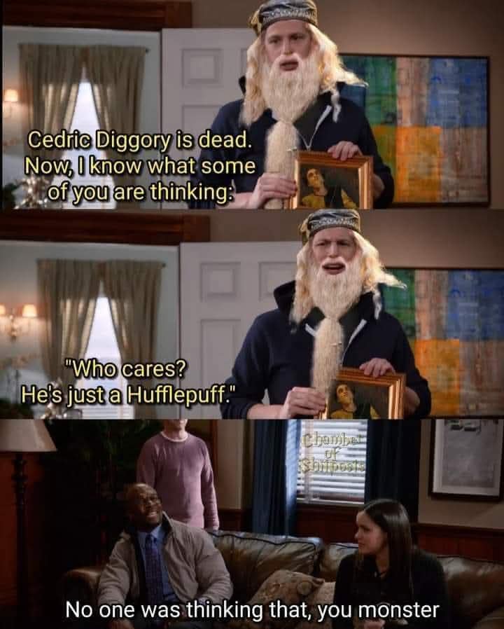 28 Harry Potter Memes That’ll Have You Laughing Louder Than A Howler ...