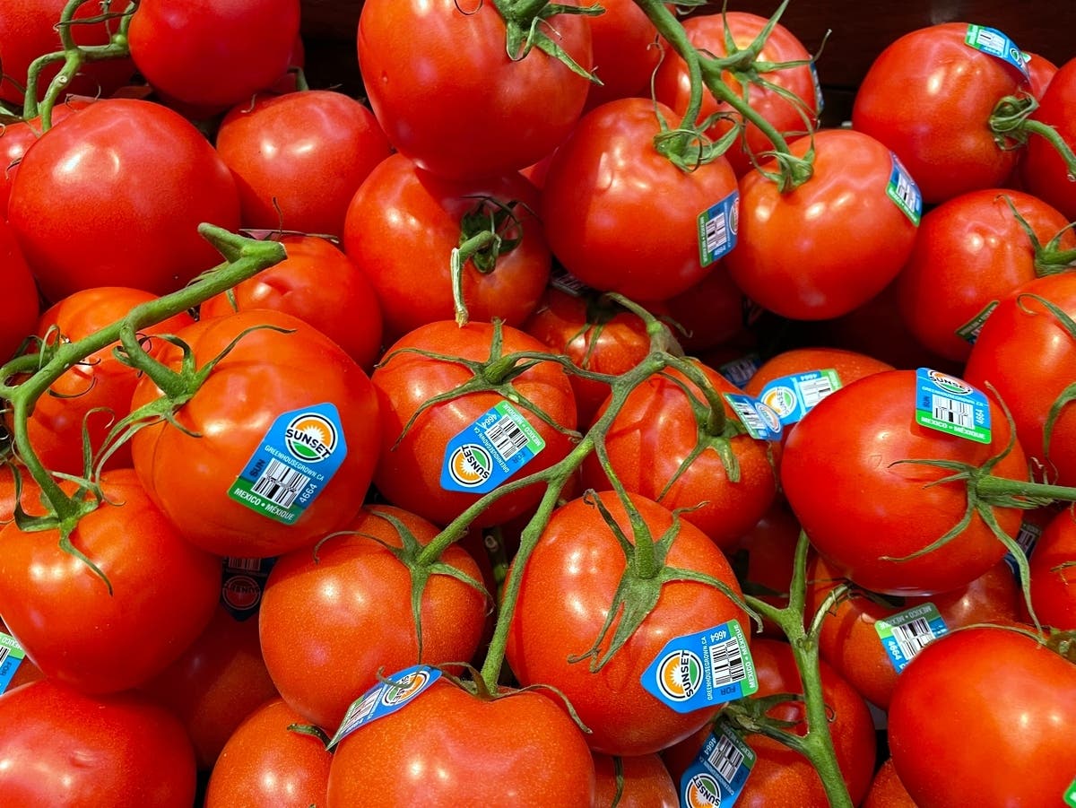 Tomato Recall Upgraded To Most Critical Level Due To Salmonella Risks