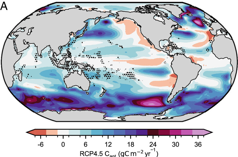 Simulation shows how declines in coral reef calcification could affect ...