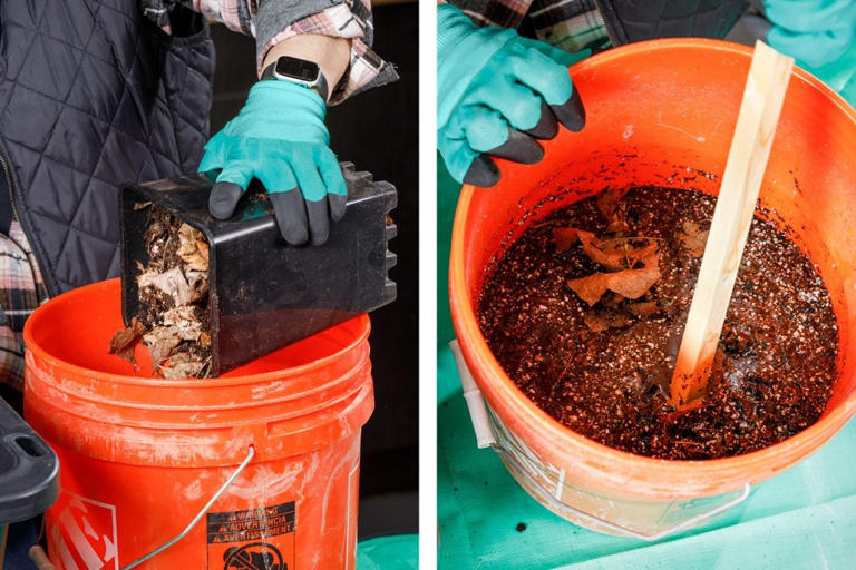 Refresh Your Plants With This Easy DIY Compost Tea