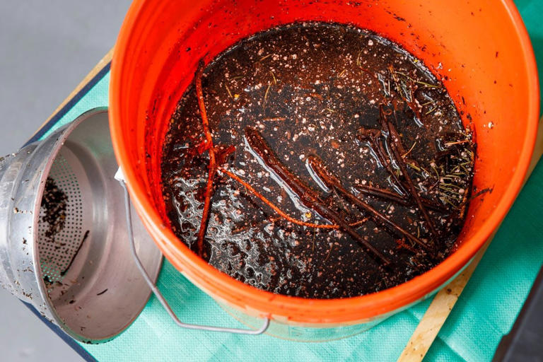 Refresh Your Plants With This Easy DIY Compost Tea