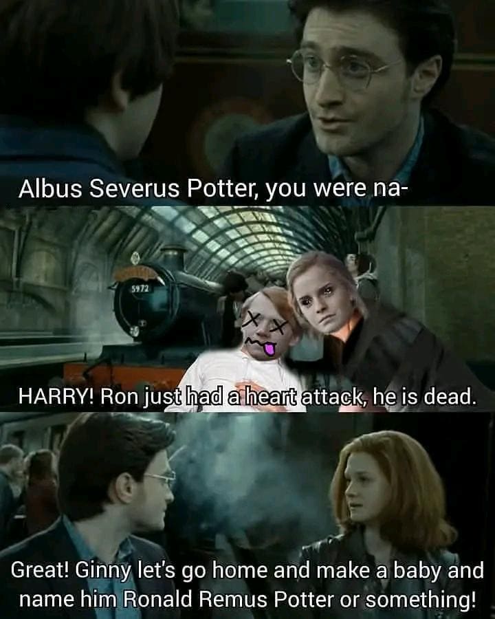 28 Harry Potter Memes That’ll Have You Laughing Louder Than A Howler ...