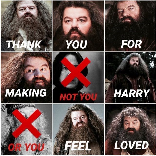 28 Harry Potter Memes That’ll Have You Laughing Louder Than A Howler ...