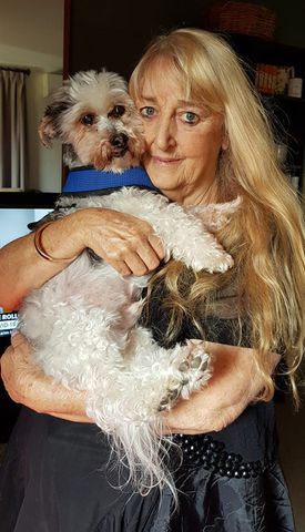 Marcie Jones, Australian Singer of Marcie & The Cookies, Dies at 79 ...