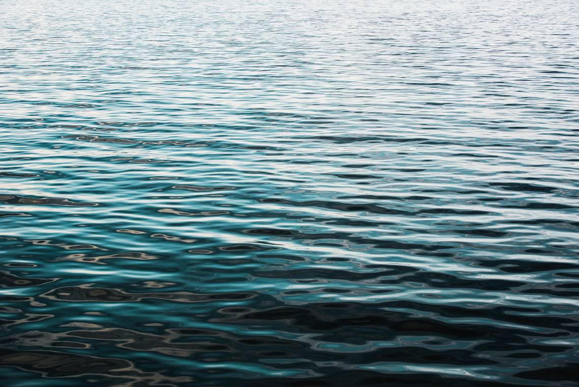 Mama sea creatures spotted off CA coast with babies. See ‘exciting ...