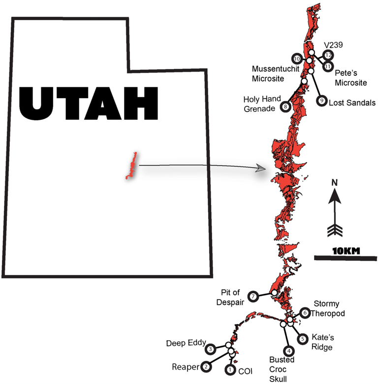 Six Types Of Dinosaur Eggs Found In One Place
