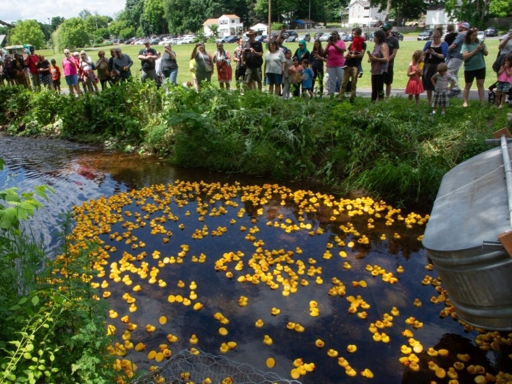 Manchester Rubber Duck Race Now In Its 16th Year