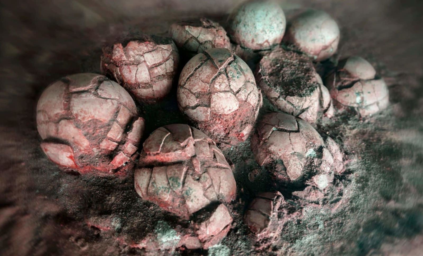 Six Types Of Dinosaur Eggs Found In One Place