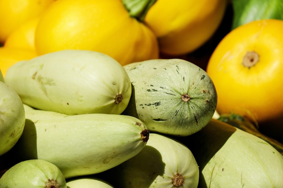 Pouco calórica, abobrinha ajuda na visão, digestão e fortalece os ossos