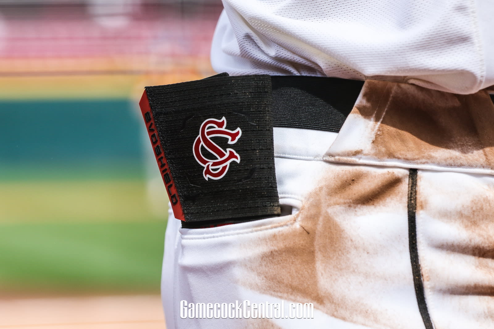 South Carolina RHP Ryder Garino enters NCAA Transfer Portal