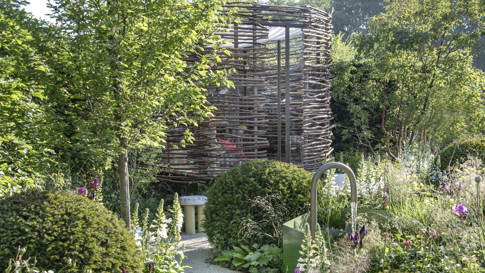 Evergreen shrubs that thrive on neglect – 5 expert plant picks that ...