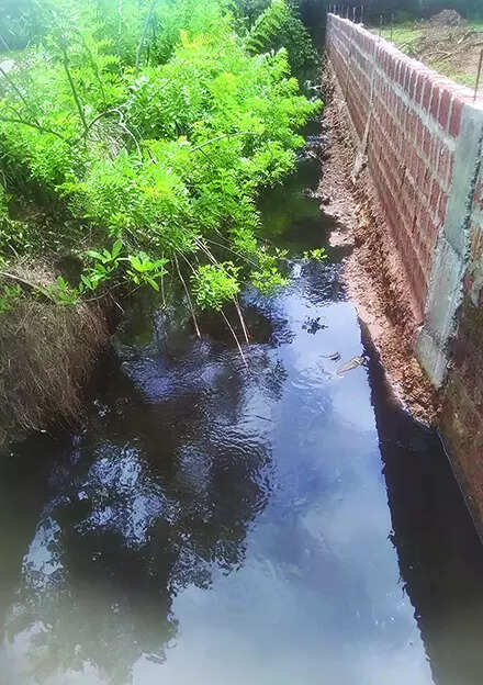 Spread of toxic waste in fields hits Agasaim ryots