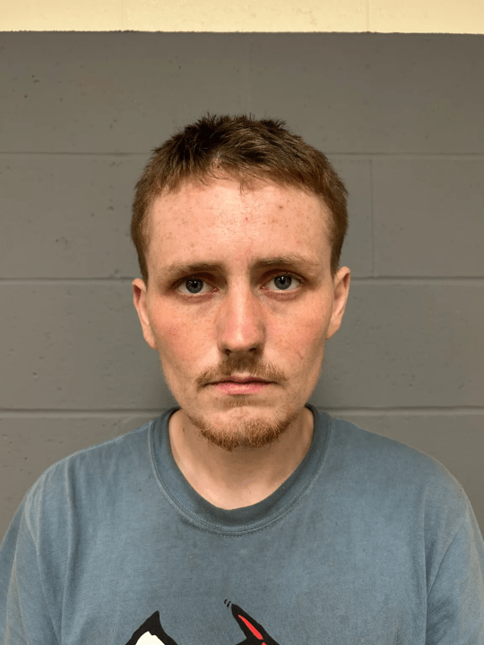 Putney pedestrian hit by allegedly impaired driver dies