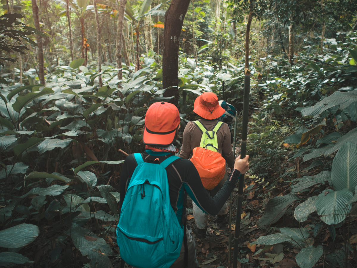 Beyond wildlife safari: 6 must-enjoy activities in national parks