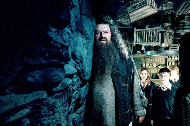 “Harry Potter” Series' Hagrid Star Nick Frost Says He Won't 'Try and Be ...