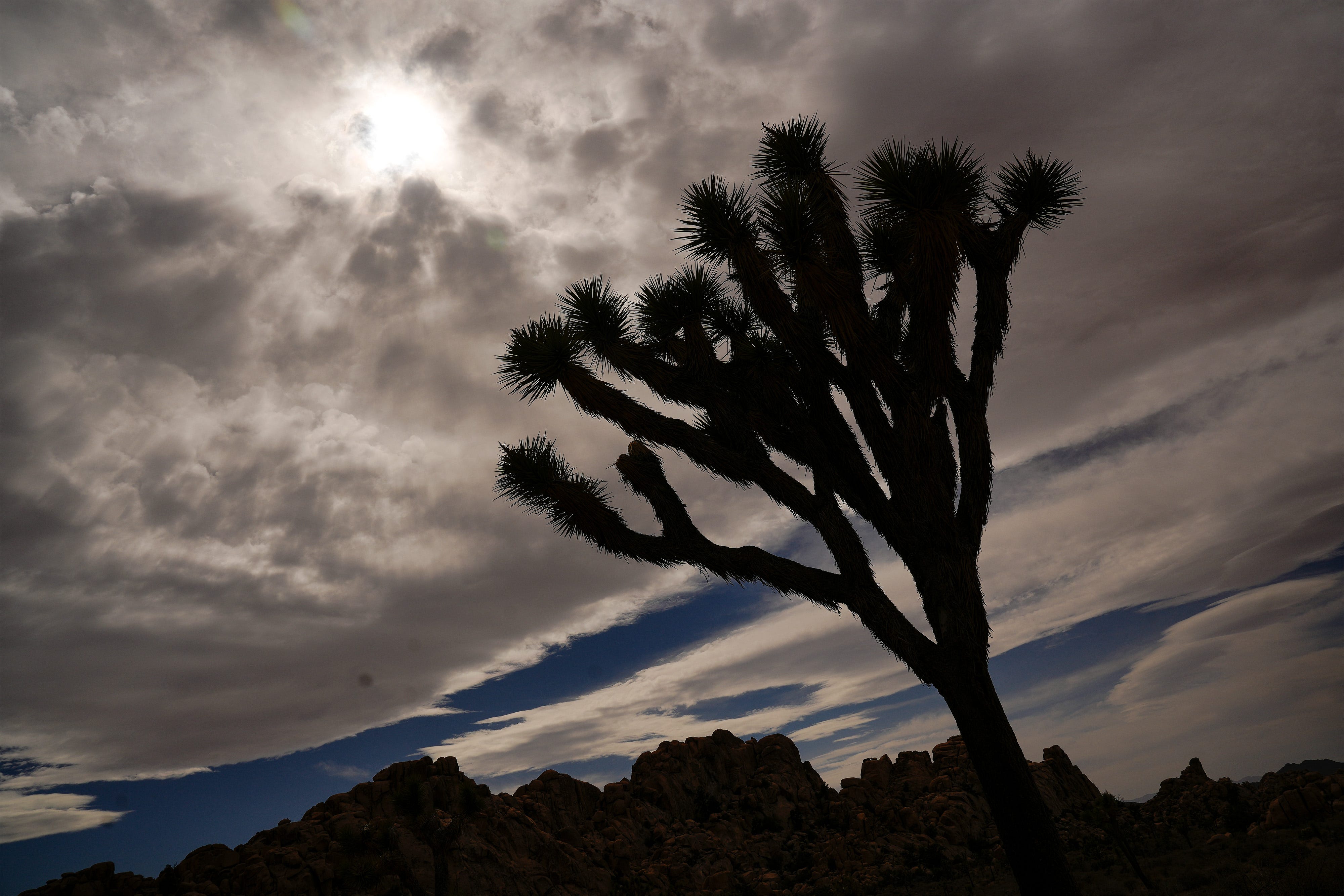 Storms hit desert: major flooding in Twentynine Palms; lightning in ...