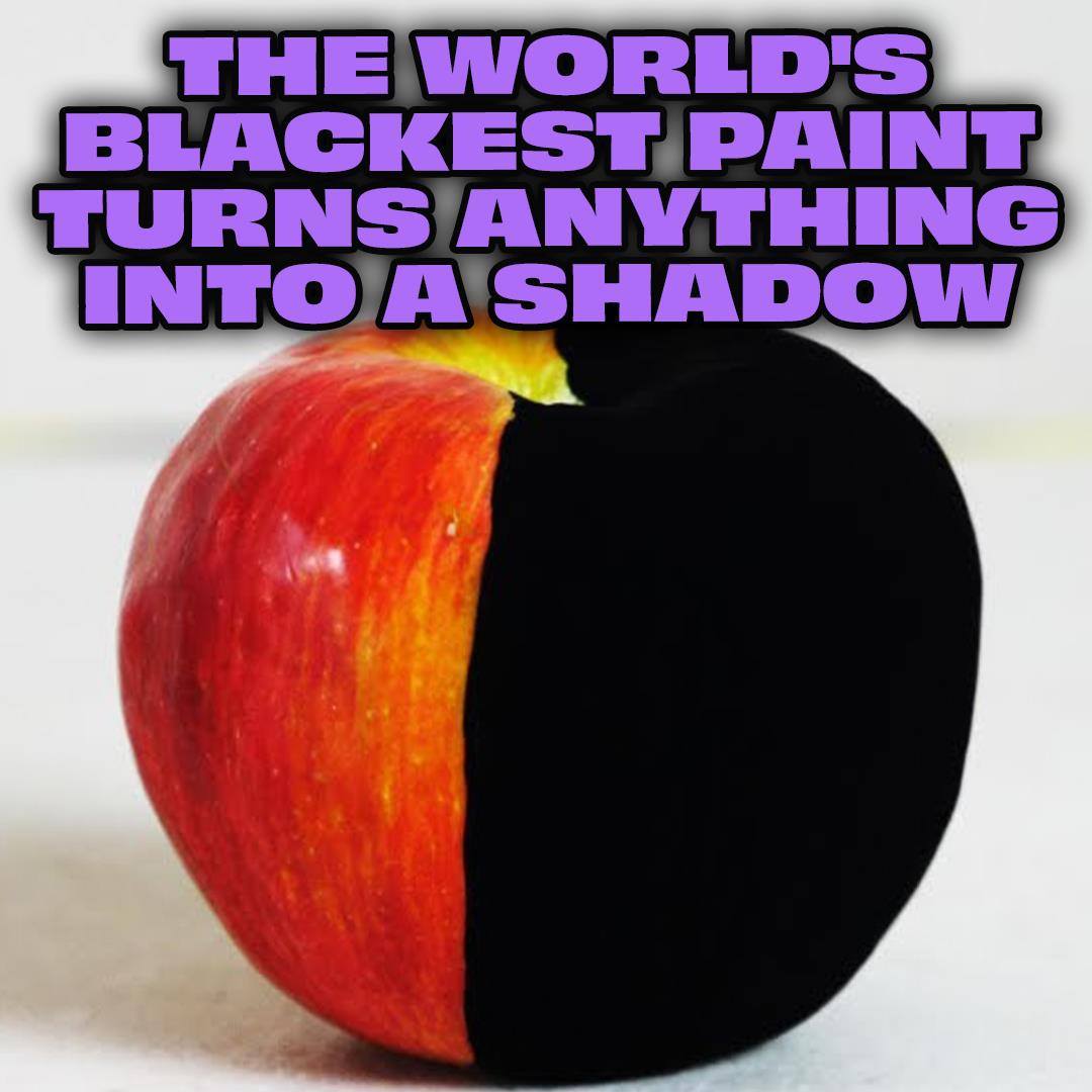 The World's Blackest Paint Turns Anything Into A Shadow!! 👥🖌️