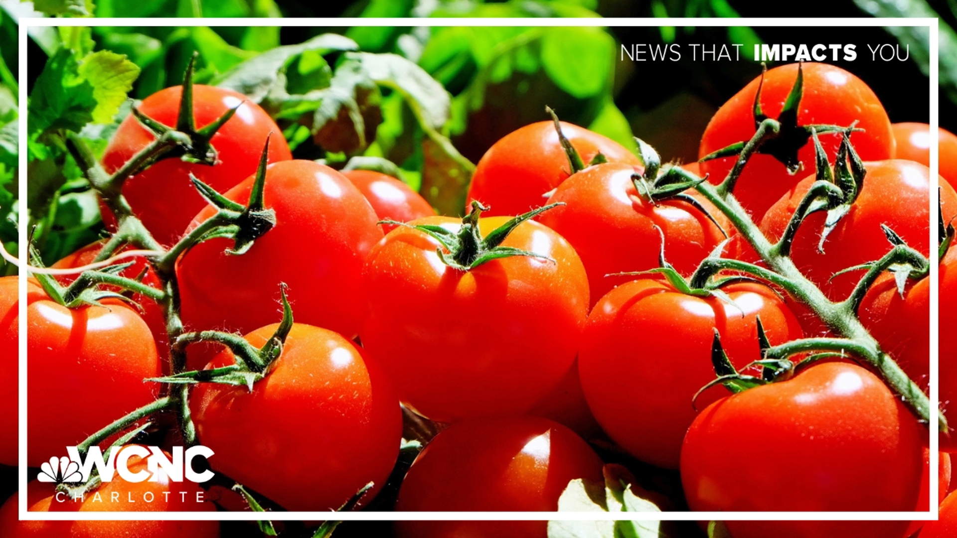 FDA upgrades tomato recall to highest level