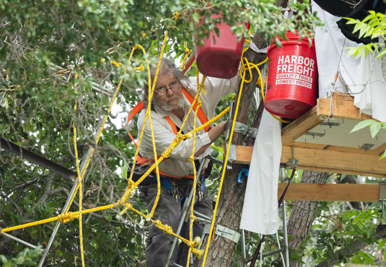 Elderly man builds tree house to protest eviction from state-owned home