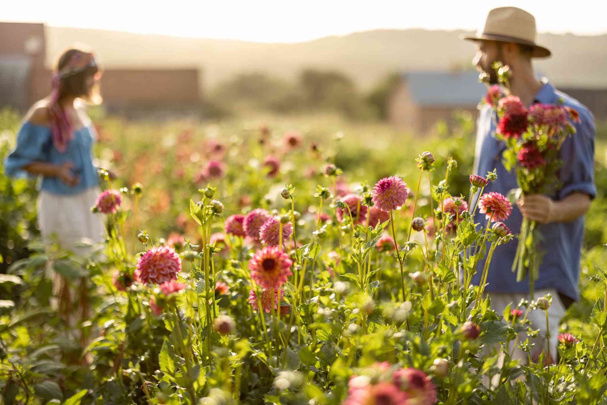 11 Flower Picking Farms Around the U.S. Where You Can Create Your Own ...