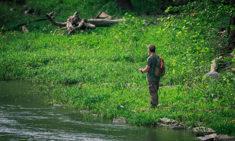Expert offers tips on how to regain control in times of chaos